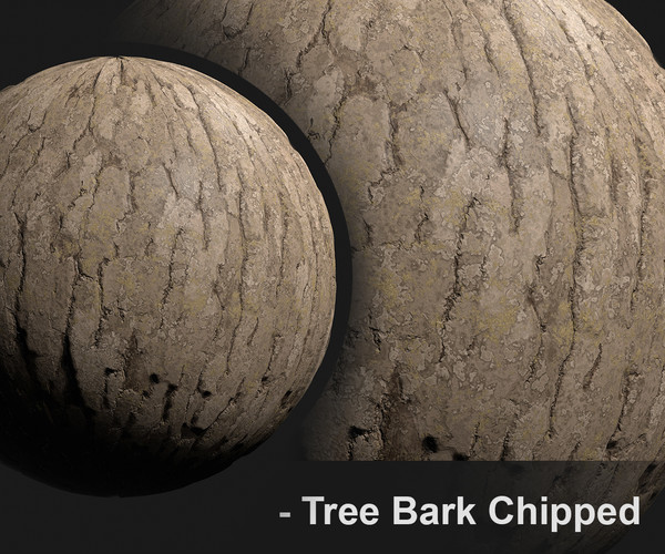 ArtStation - 6 Tree Bark Customizable Material | Resources