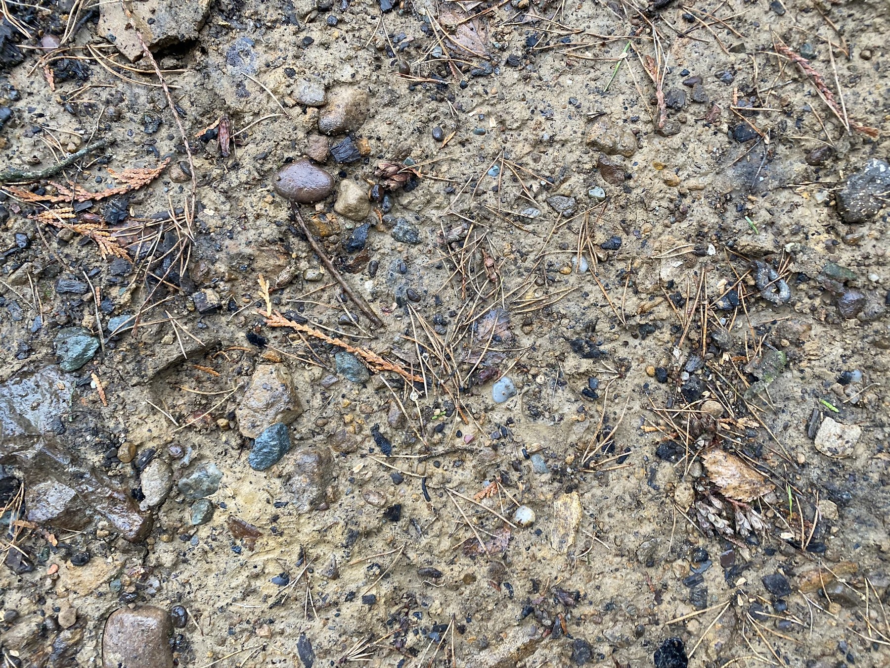 ArtStation - HD Ground Textures | Resources