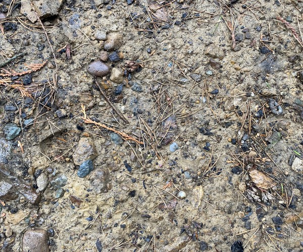 ArtStation - HD Ground Textures | Resources