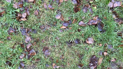 ArtStation - HD/HDR Ground Texture Pack 02 | Resources