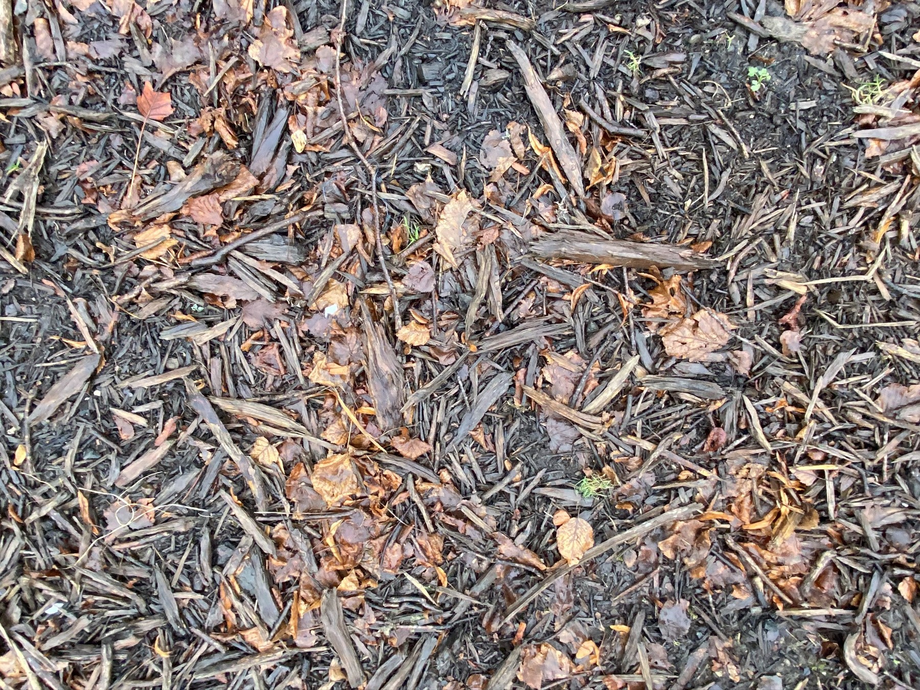 ArtStation - HD Ground Textures | Resources