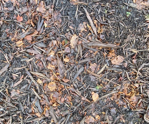 ArtStation - HD Ground Textures | Resources