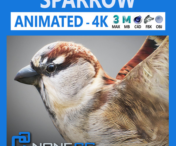 ArtStation - Animated Sparrow | Game Assets