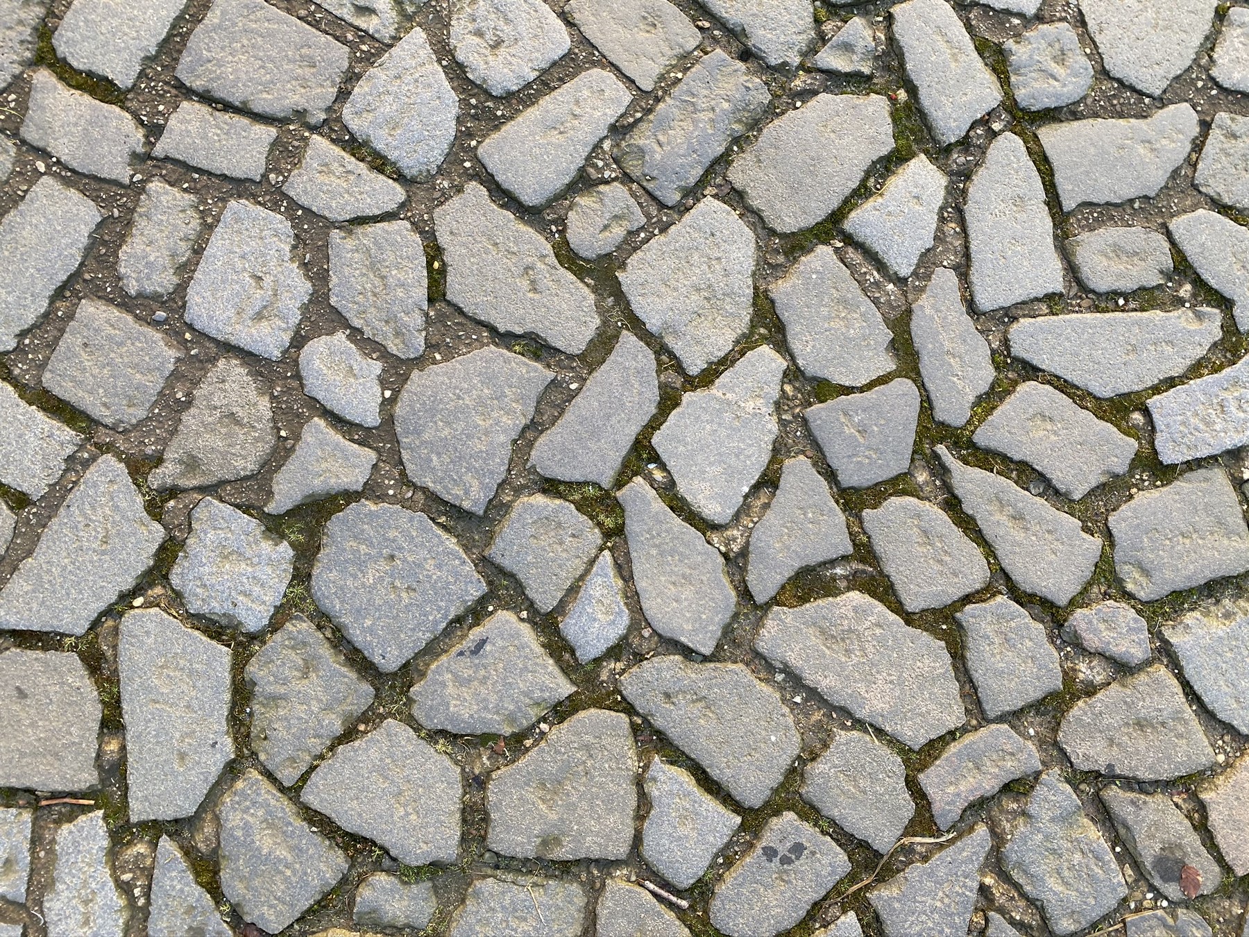 ArtStation - HD/HDR Ground Texture Pack 02 | Resources