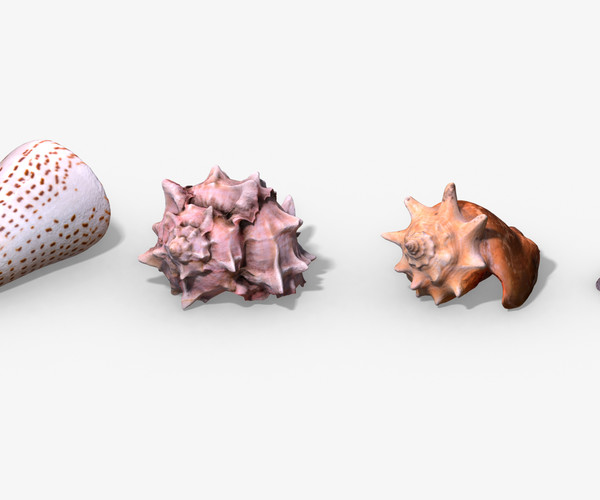 ArtStation - Photorealistic Seashells Collection - Scanned PBR | Resources