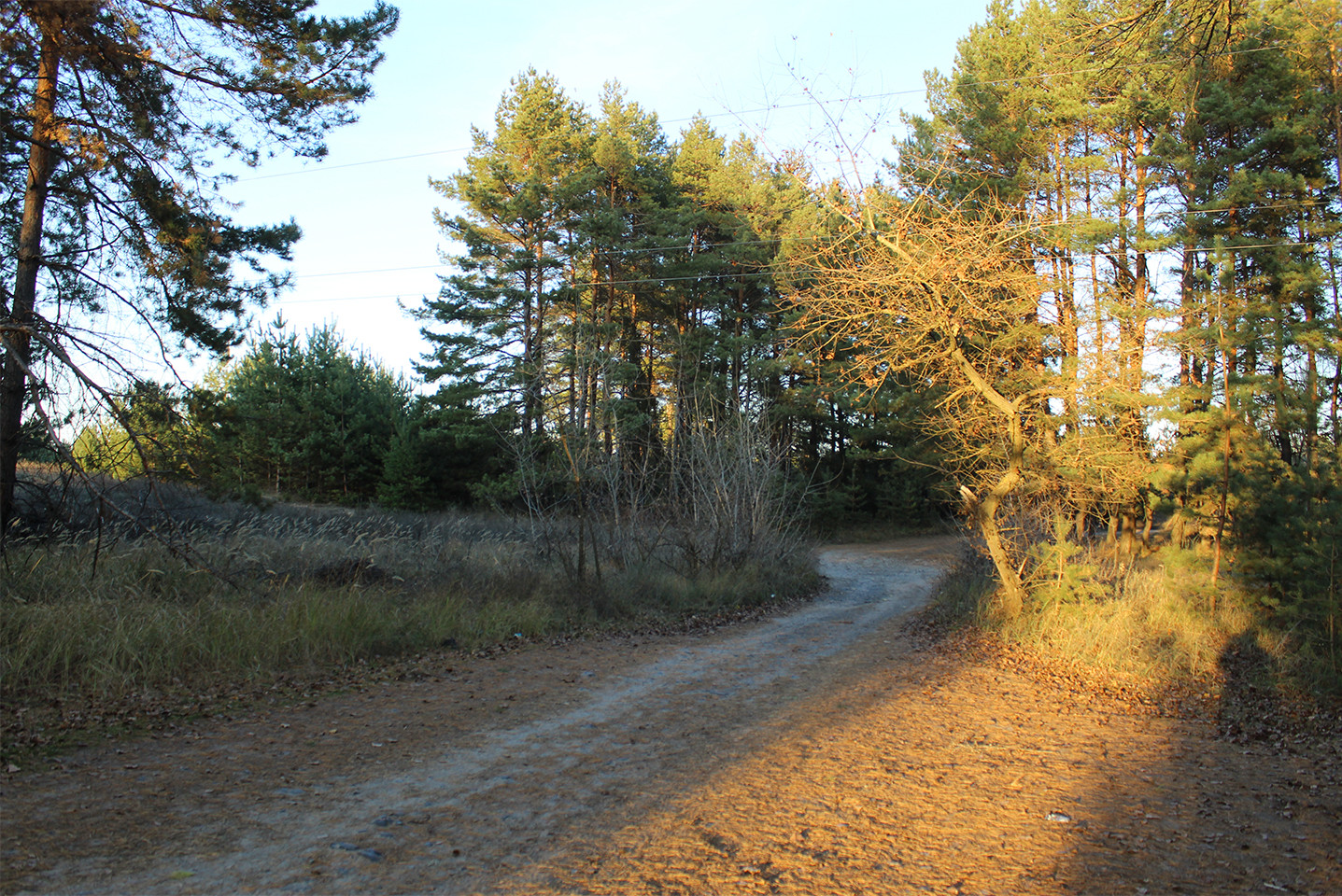 ArtStation - Dirt roads Pack | Resources