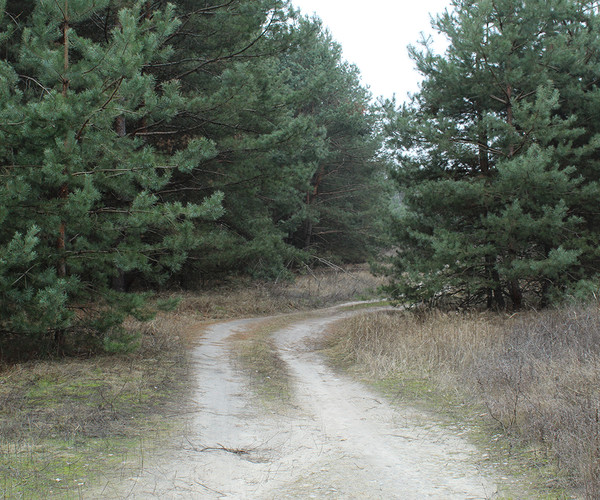 ArtStation - Dirt roads Pack | Resources