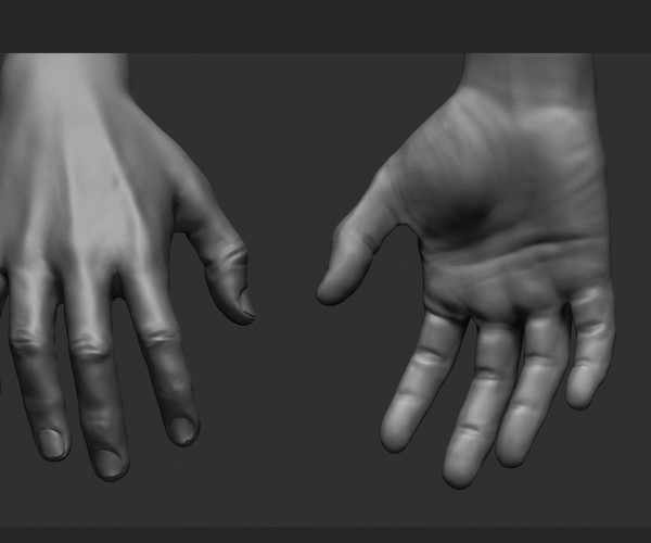 ArtStation - Realistic Hands Pack | Resources