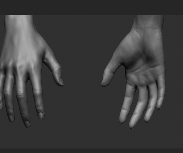 ArtStation - Realistic Hands Pack | Resources