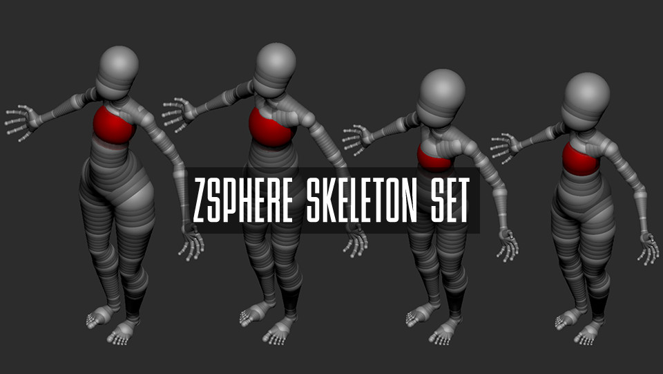ArtStation - ZSphere Skeleton Set Stylized (ZBrush) | Resources