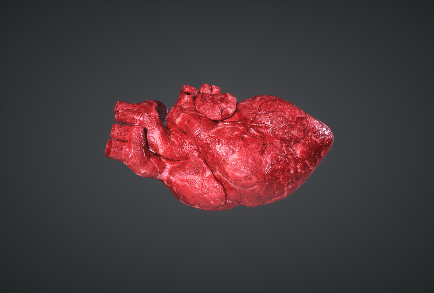 ArtStation - Human Heart | Resources