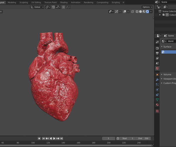 ArtStation - Human Heart | Resources