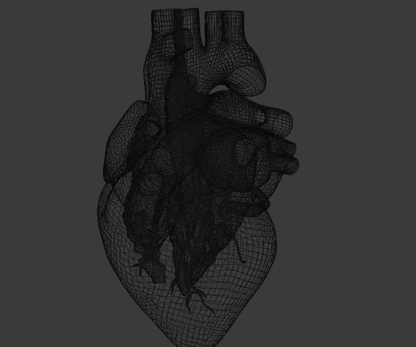 ArtStation - Human Heart | Resources