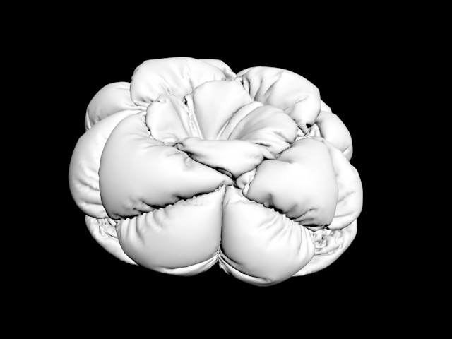 ArtStation - Puffs Collection | Resources