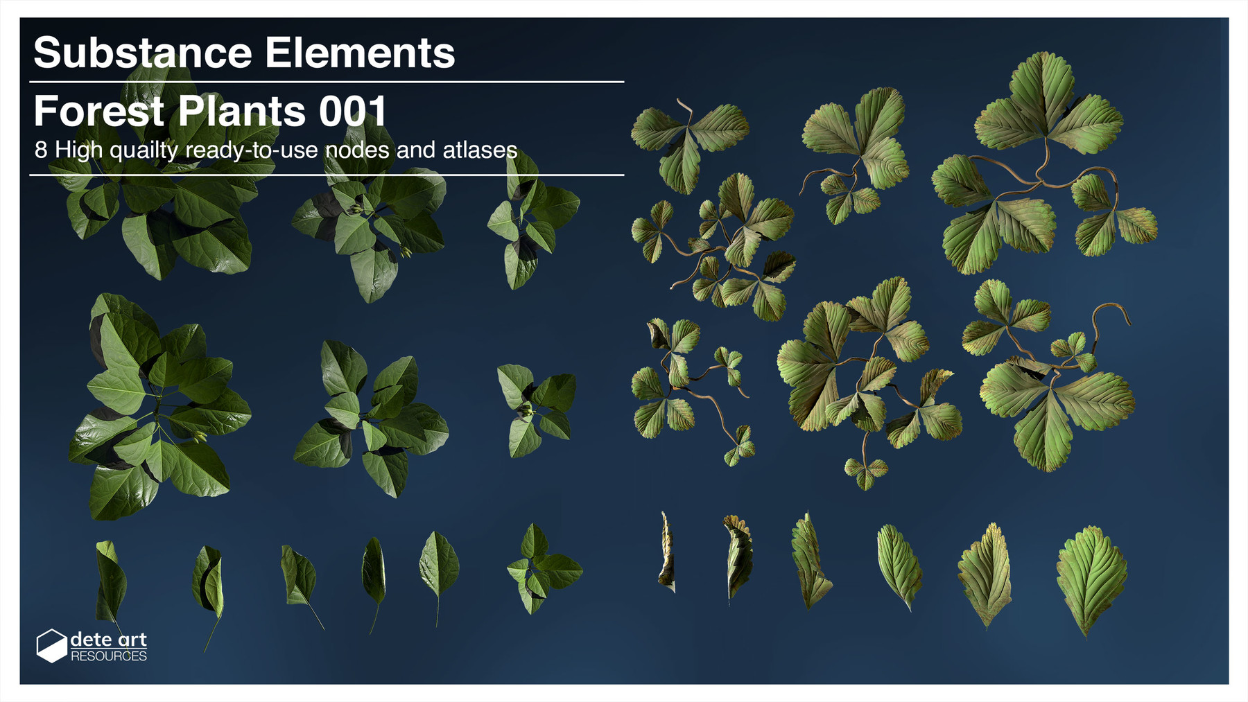 ArtStation - Substance Elements | Forest Plants 001 | Resources