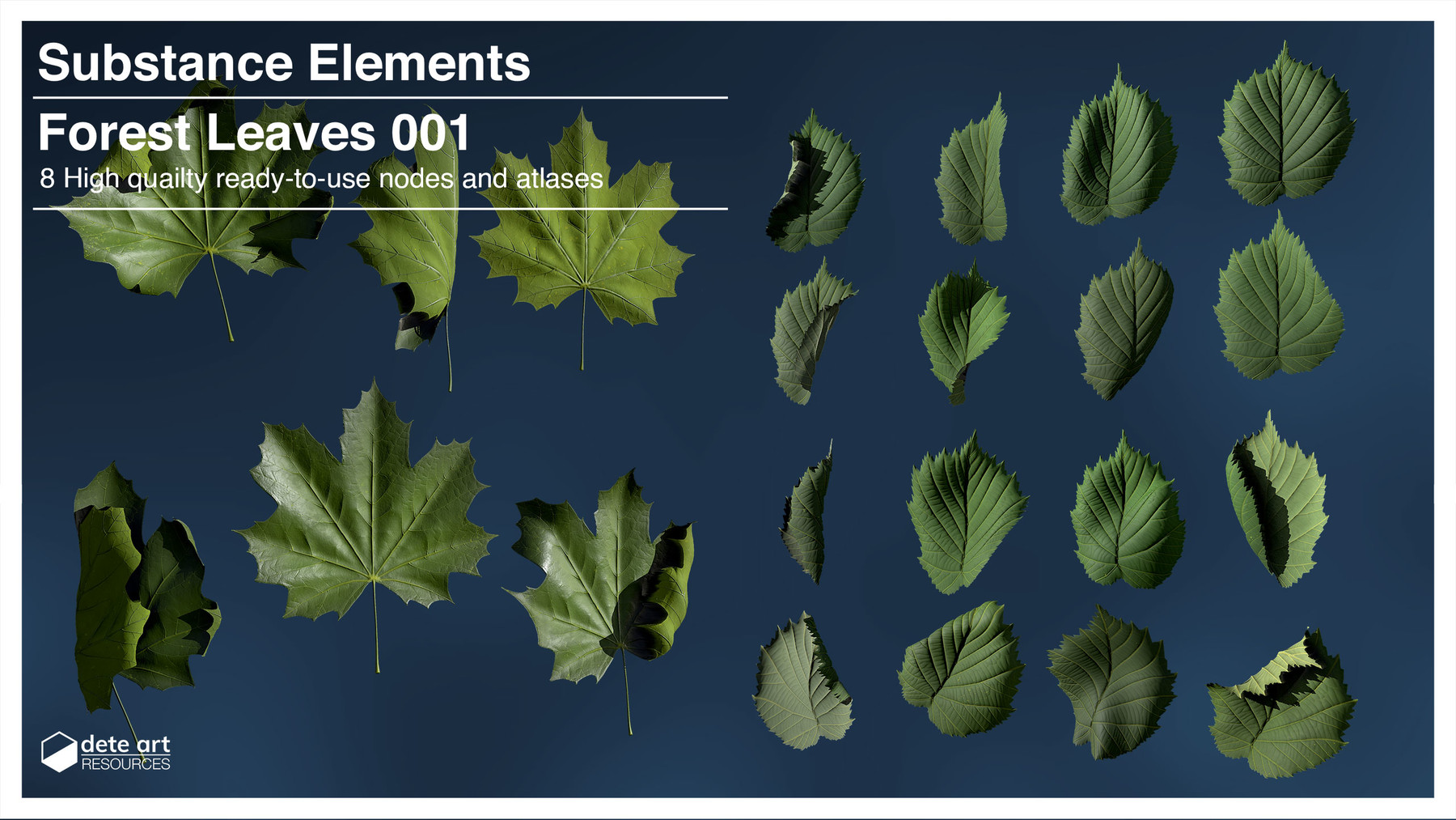 ArtStation - Substance Elements | Forest Leaves 001 | Resources