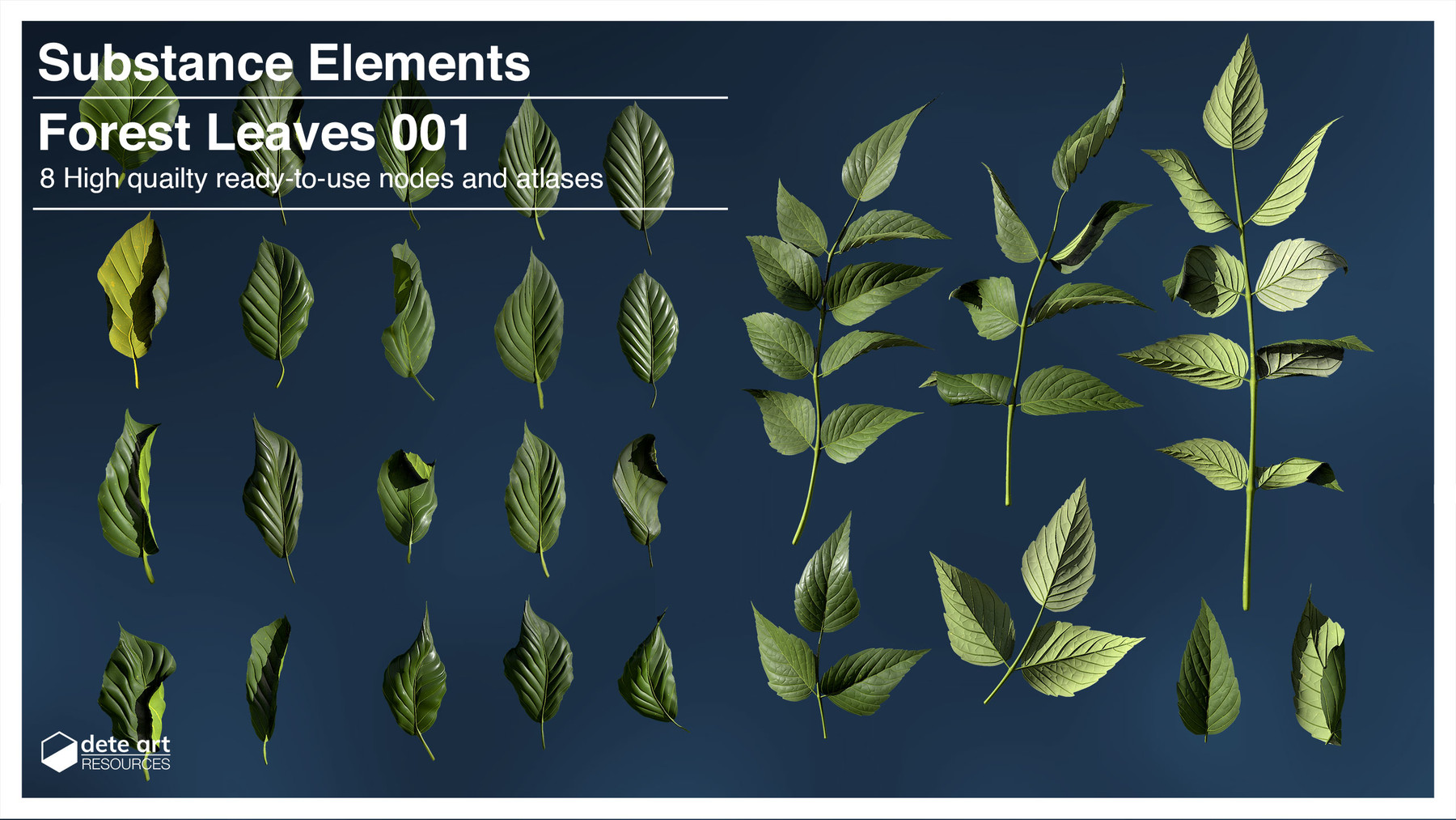ArtStation - Substance Elements | Forest Leaves 001 | Resources