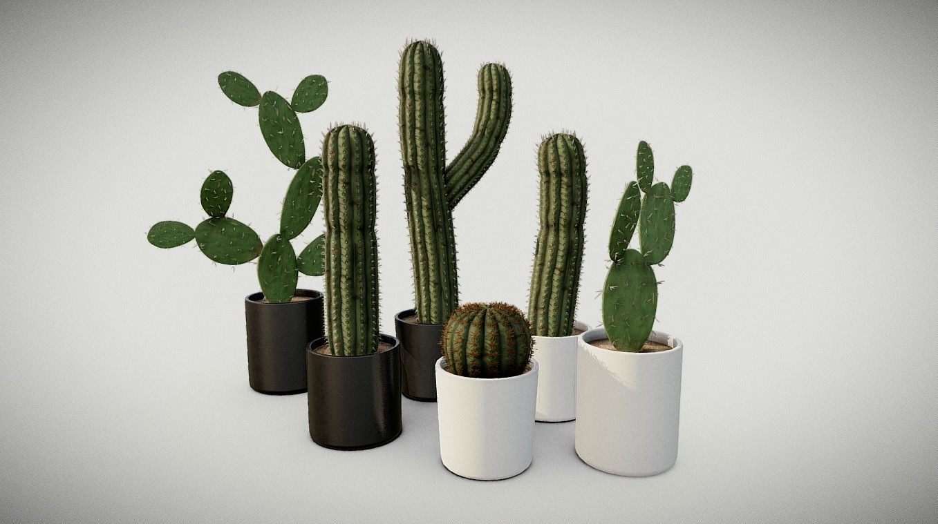 ArtStation - Cactus Pot Package | Resources