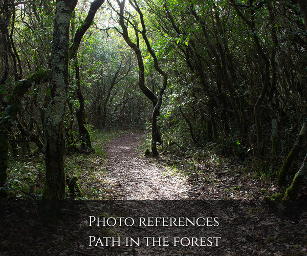 ArtStation - Photo reference Landscapes: Path in the forest | Resources