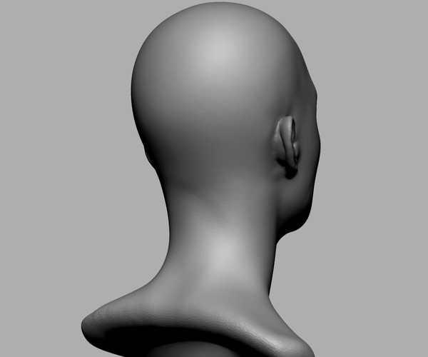 ArtStation - Male Female Head Collection | Resources