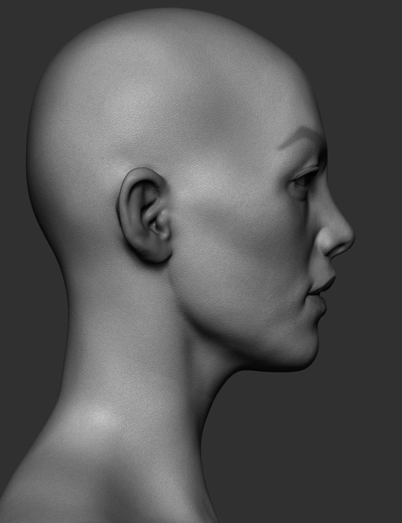ArtStation - Male Female Head Collection | Resources