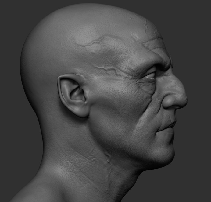 ArtStation - Male Female Head Collection | Resources