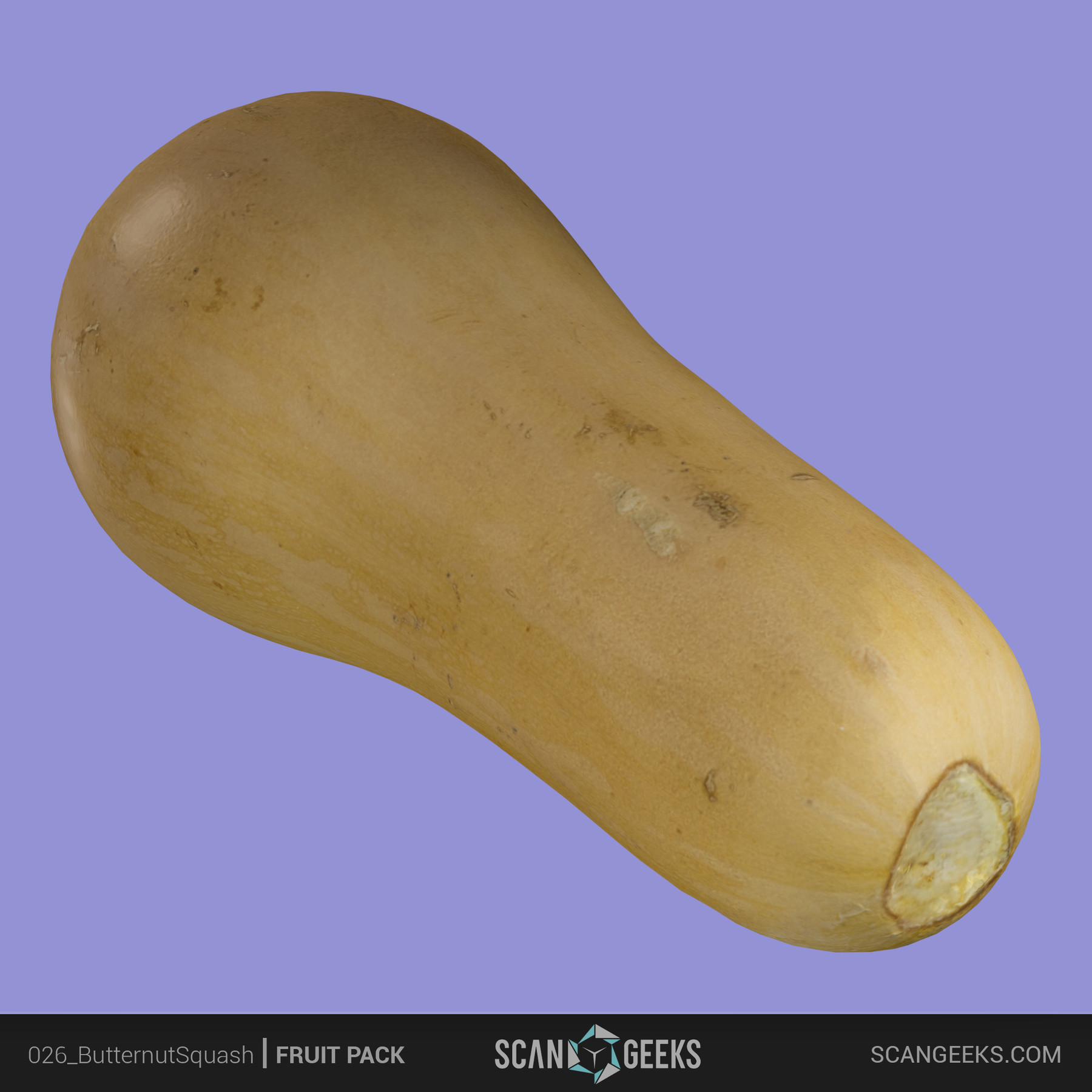 ArtStation - Butternut Photogrammetry Asset 3D PhotoScan | Resources
