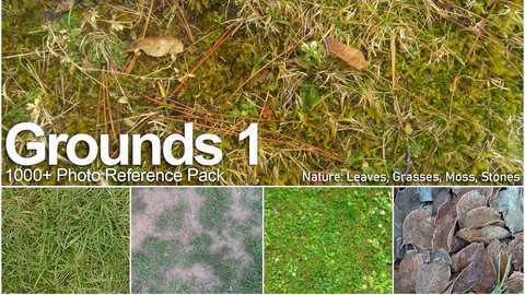 ArtStation - Ground Texture Reference 1 - Nature | Resources