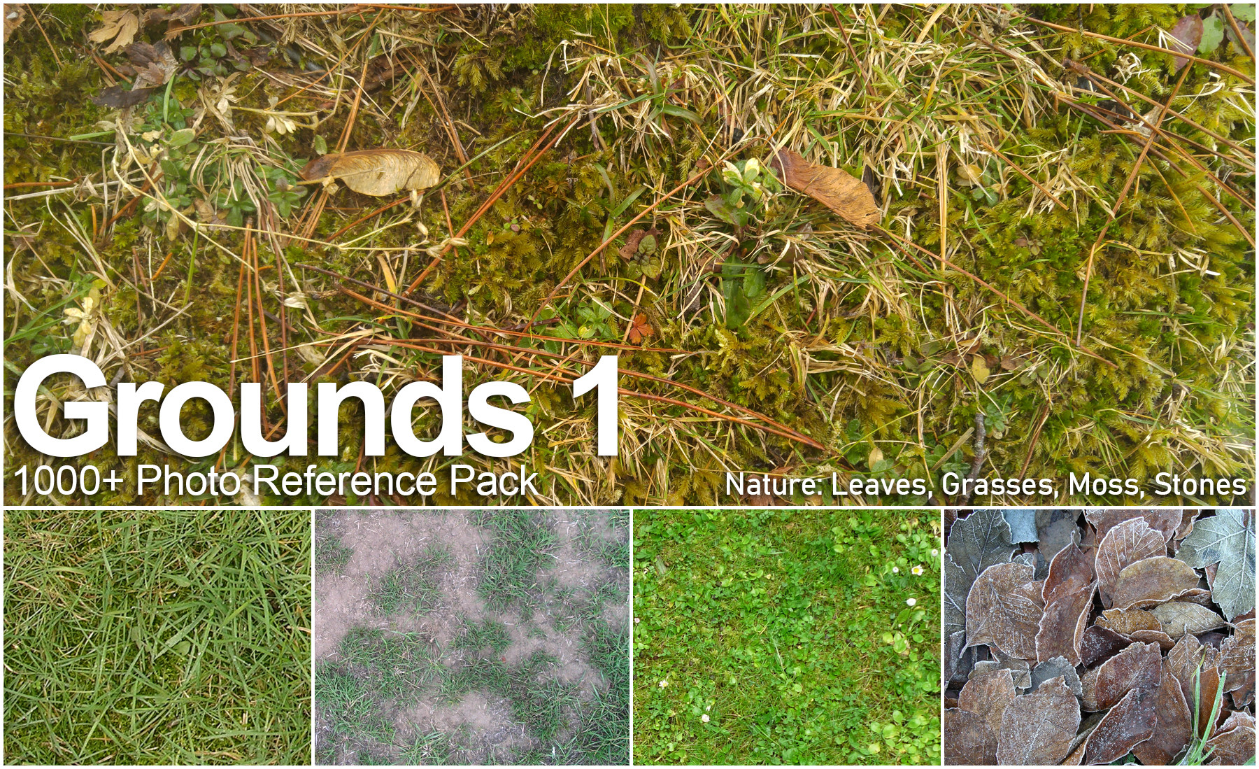 Jeremy Elford - Ground Texture Reference 1 - Nature