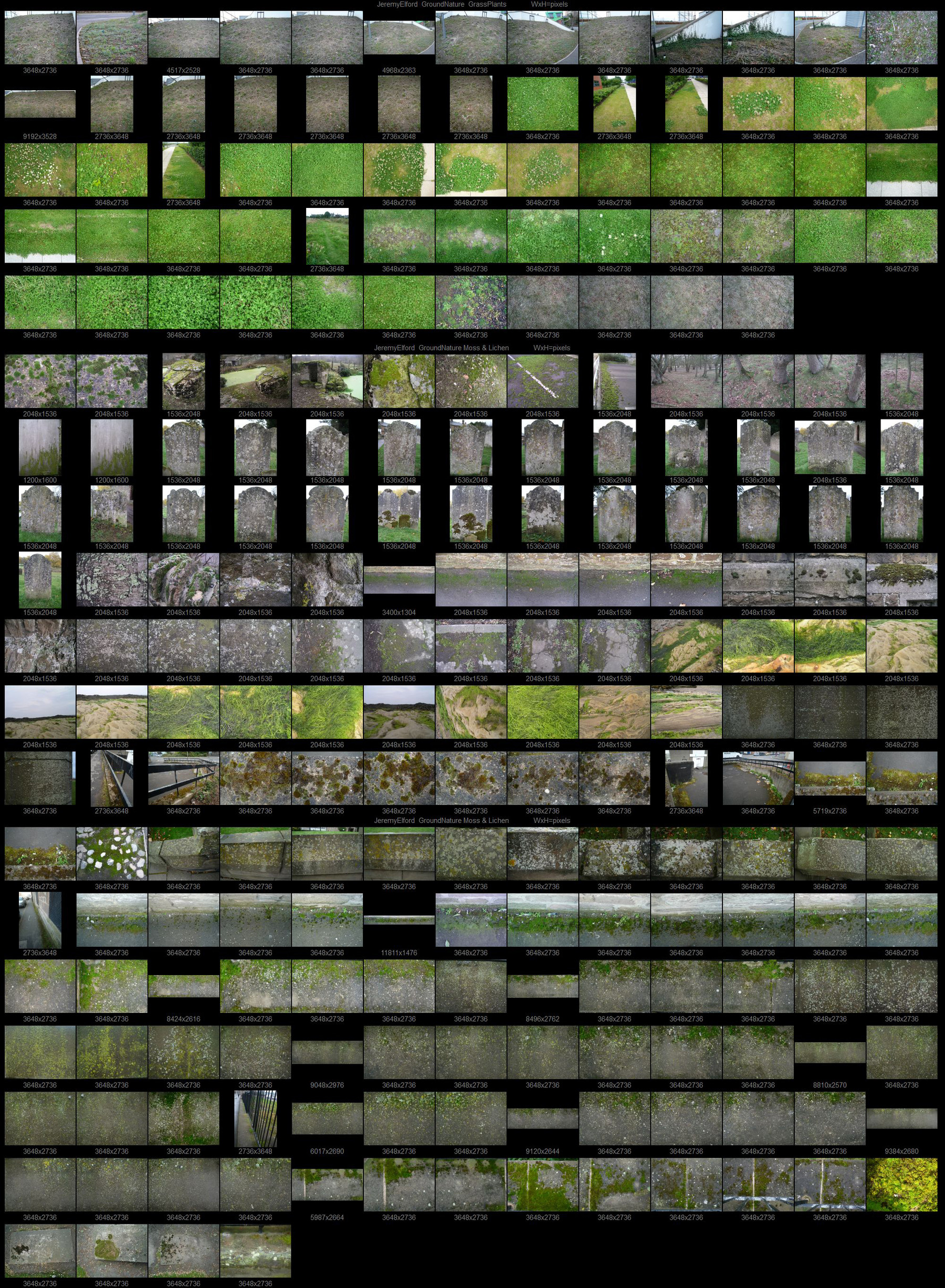 ArtStation - Ground Texture Reference 1 - Nature | Resources