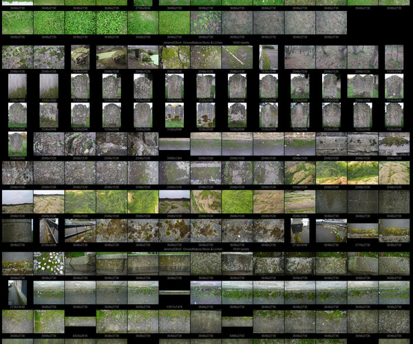 ArtStation - Ground Texture Reference 1 - Nature | Resources