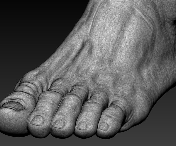 ArtStation - 12 Male Feet | Resources