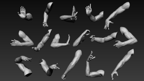 ArtStation - Male Arms 16 Poses | Resources