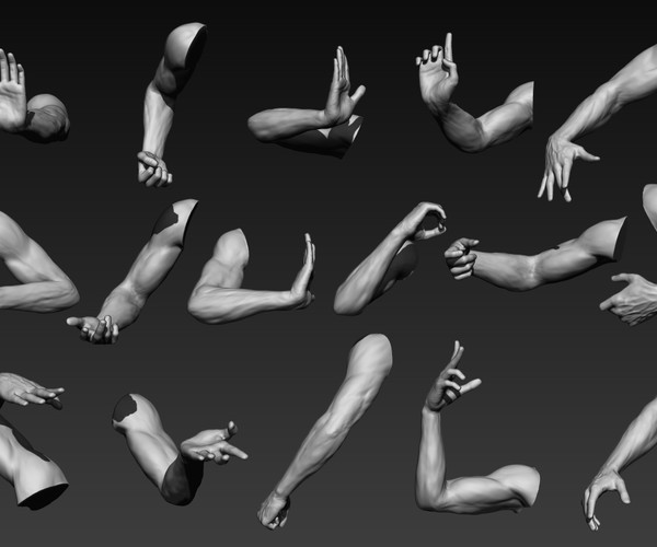 ArtStation - Male Arms 16 Poses | Resources