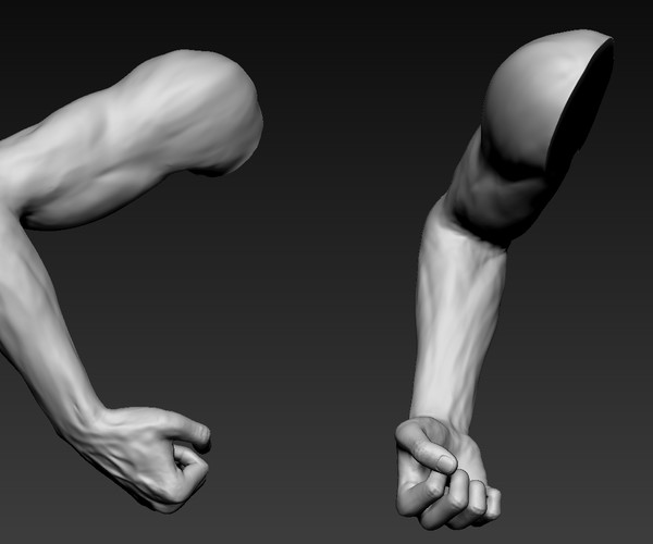 ArtStation - Male Arms 16 Poses | Resources