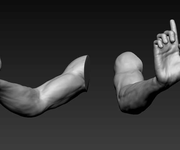 ArtStation - Male Arms 16 Poses | Resources