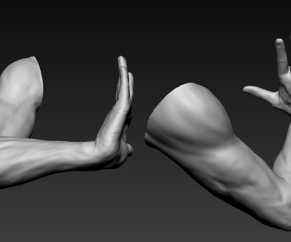 ArtStation - Male Arms 16 Poses | Resources