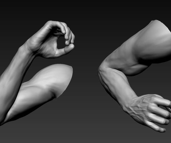 ArtStation - Male Arms 16 Poses | Resources