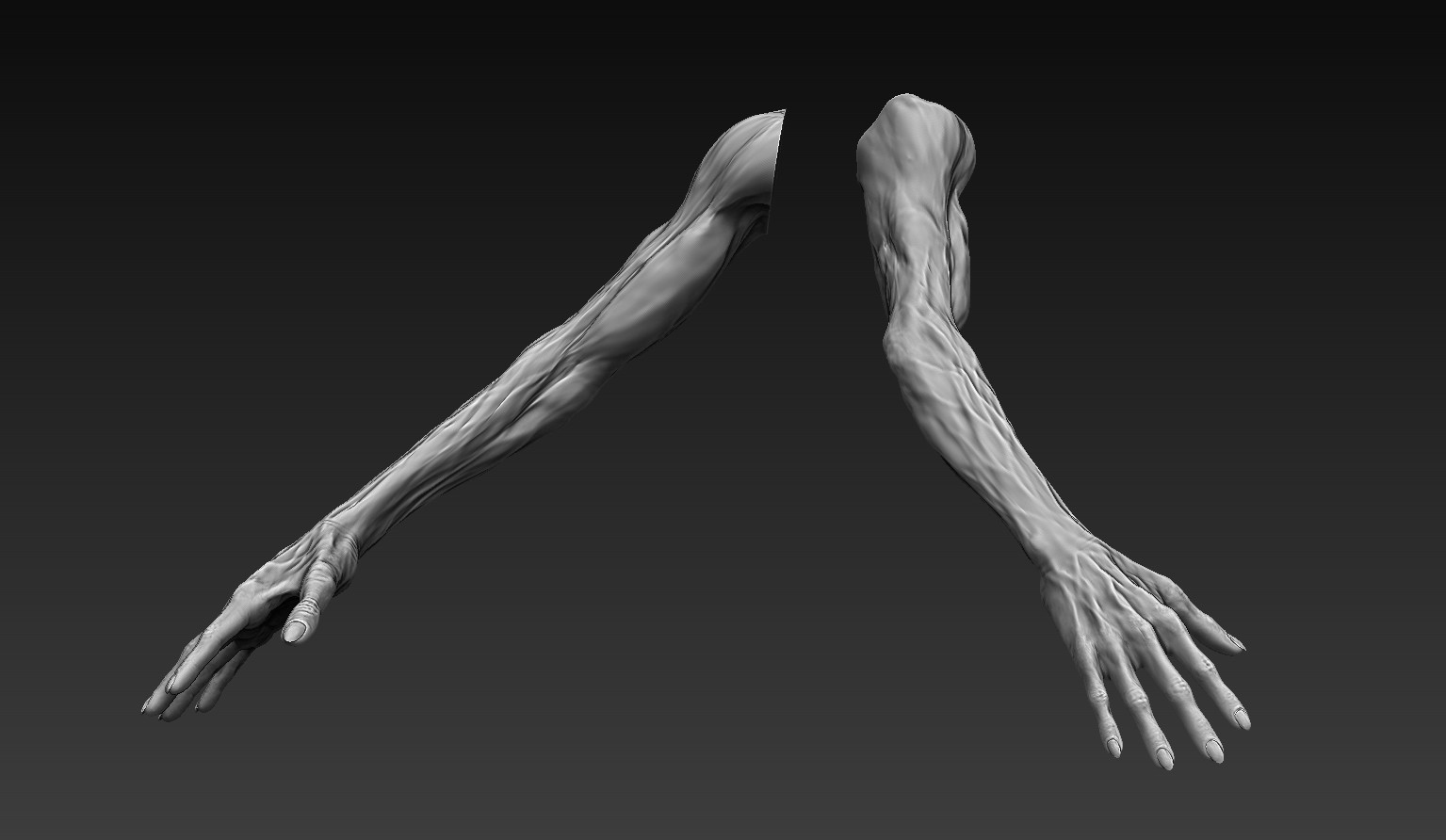 ArtStation - Zombie Arms 12 Poses | Resources