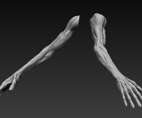 ArtStation - Zombie Arms 12 Poses | Resources