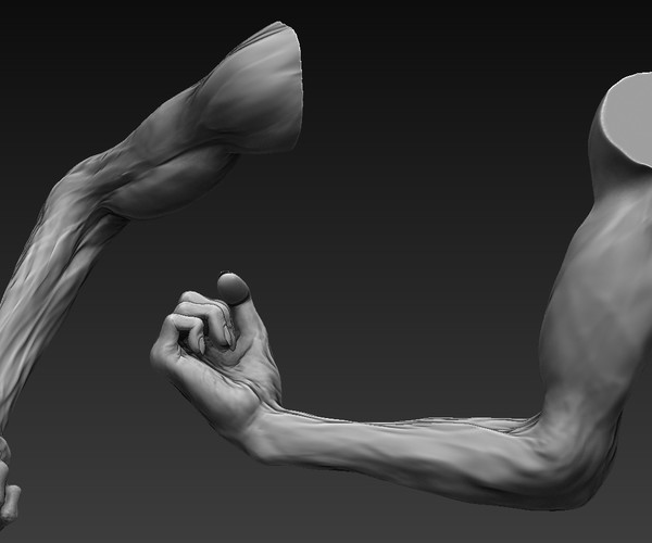 ArtStation - Zombie Arms 12 Poses | Resources