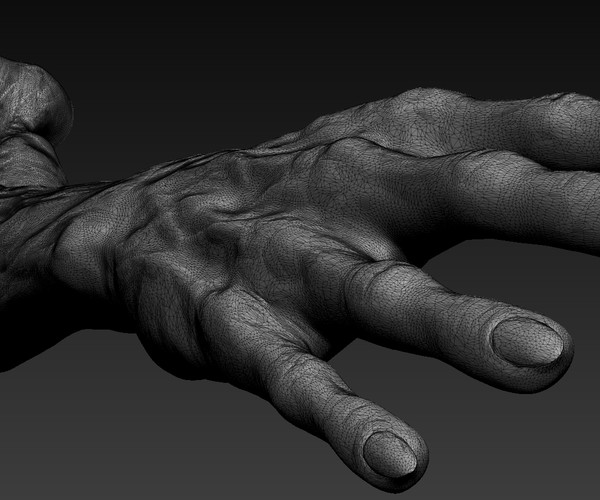 ArtStation - Zombie Arms 12 Poses | Resources