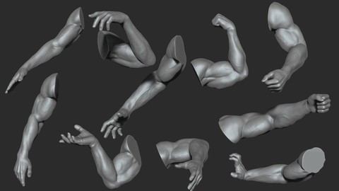 ArtStation - Muscular Male Arms 10 Poses | Resources