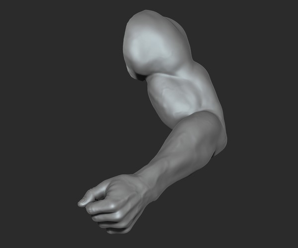 ArtStation - Muscular Male Arms 10 Poses | Resources