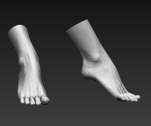 ArtStation - Female Feet 12 Poses | Resources