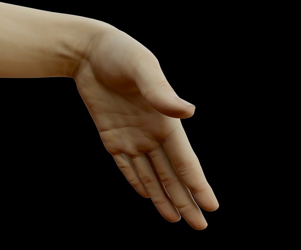 Artstation Realistic Female Hands And Arms Resources