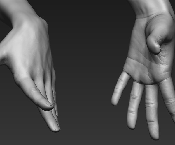 ArtStation - Realistic Female Hands and Arms | Resources