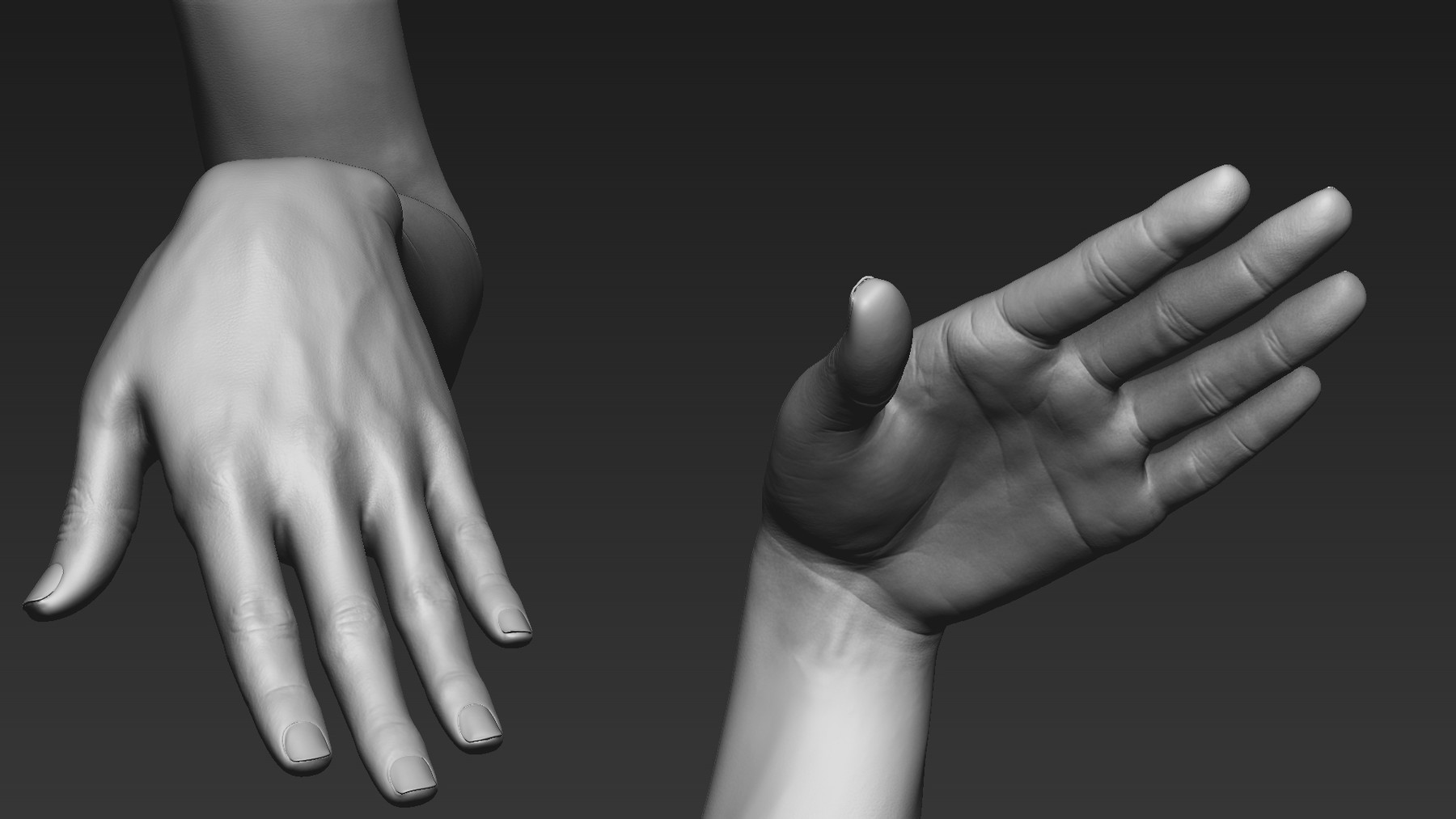 ArtStation - Realistic Female Hands and Arms | Game Assets