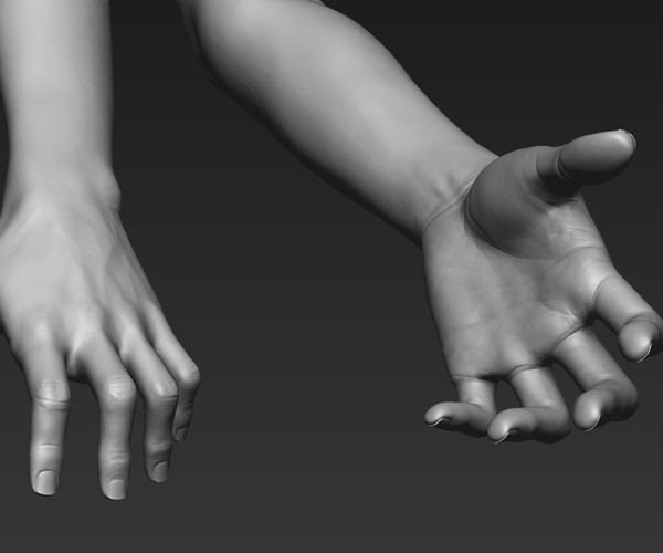 ArtStation - Realistic Female Hands and Arms | Resources
