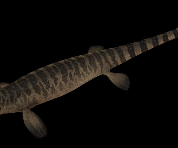 ArtStation - Tylosaurus | Game Assets